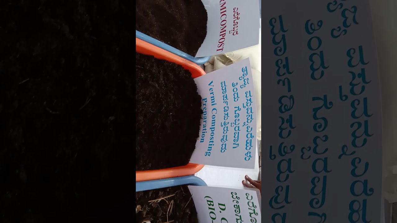 February 6, 2020 - YouTube