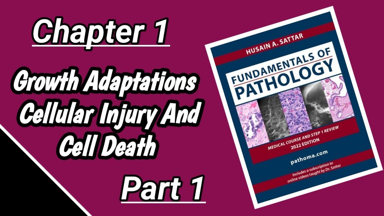 Pathoma || Chapter 1 Growth Adaptations Cellular Injury And Cell Death ...