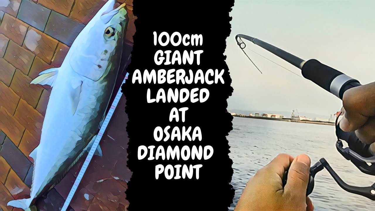 大阪ダイヤモンドポイント100CMのブリ『THE BEAST OF OSAKA DIAMOND POINT』 - YouTube