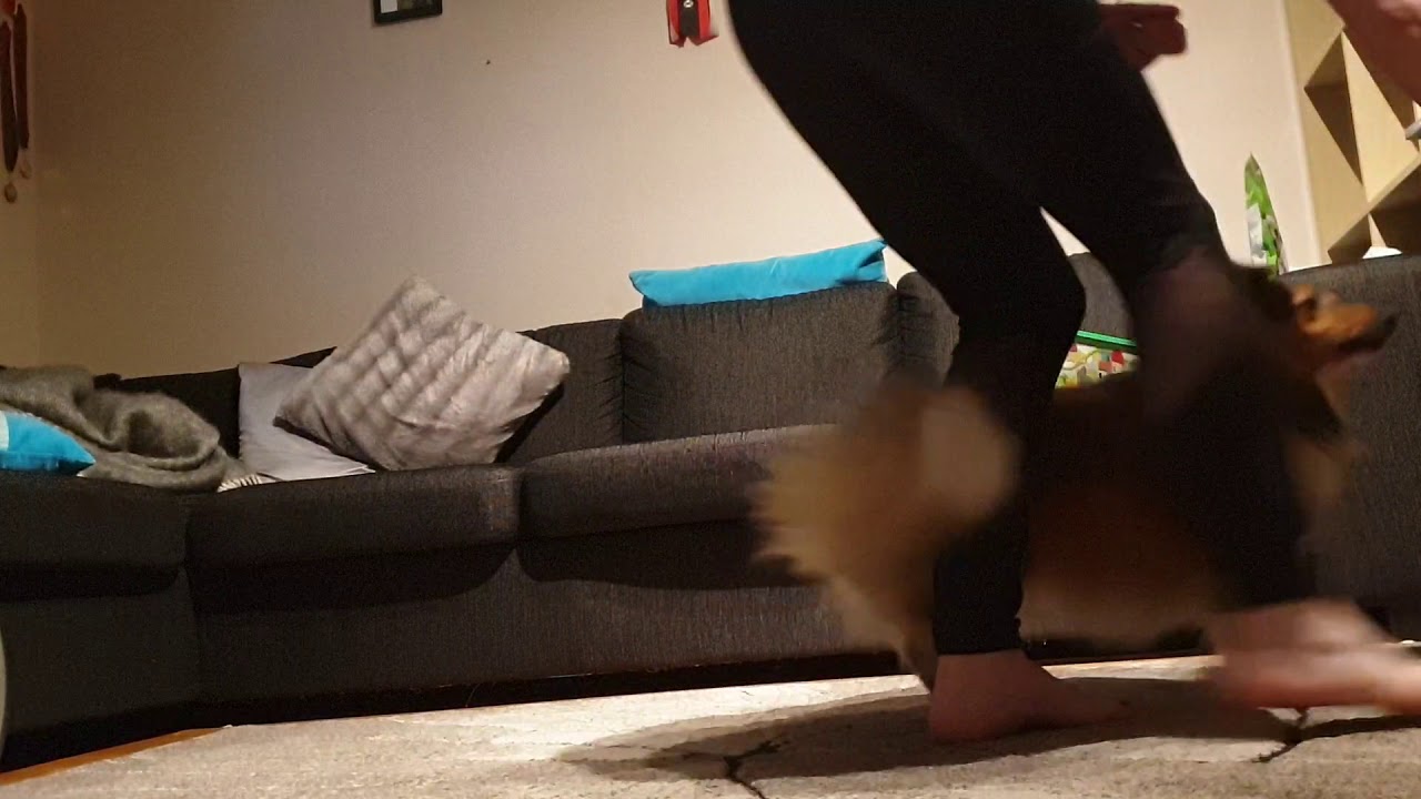 Fartig matbelöning IV - YouTube