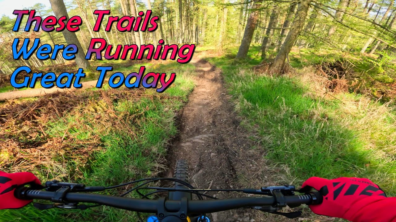 First Time Riding These Black Trails... Ballo Woods - YouTube