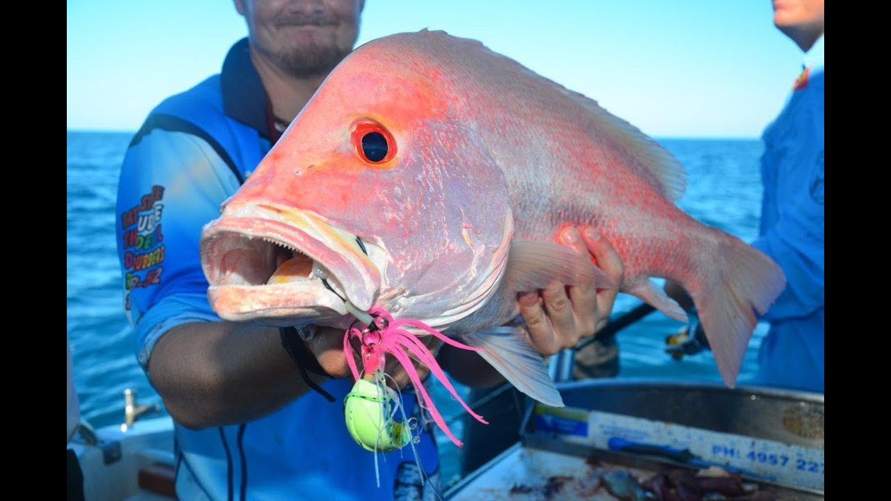 How to Pimp up your Octo Jigs!! Reidy Sea Bugs!! - YouTube