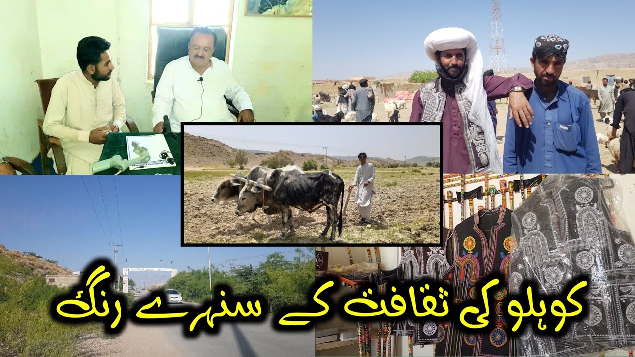 Culture of Kohlu Balochistan || Kohlu || کوہلو بلوچستان کی ثقافت - YouTube