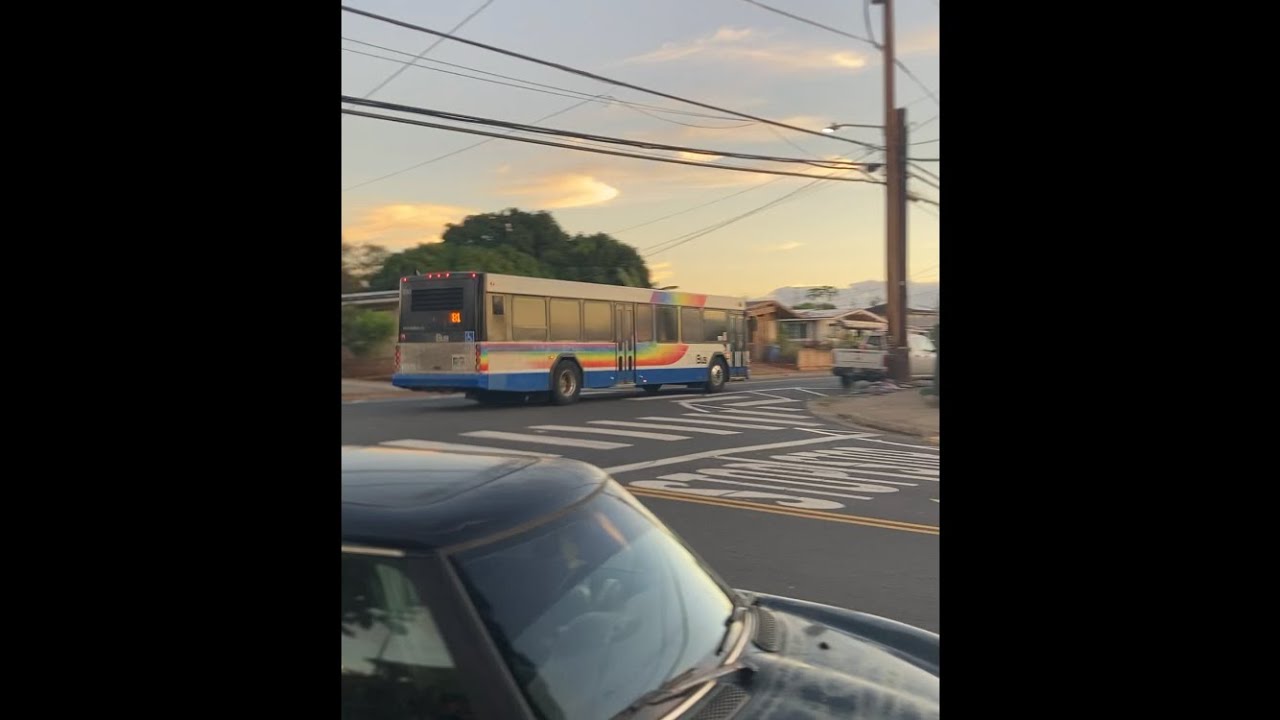 Thebus Honolulu Route 81 EXPRESS Downtown Gillig Low Floor 40 ft Bus ...