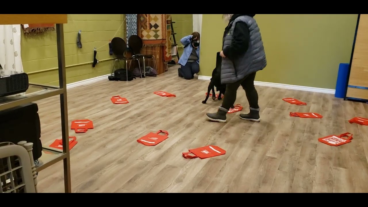 Grail Excellent Containers - YouTube