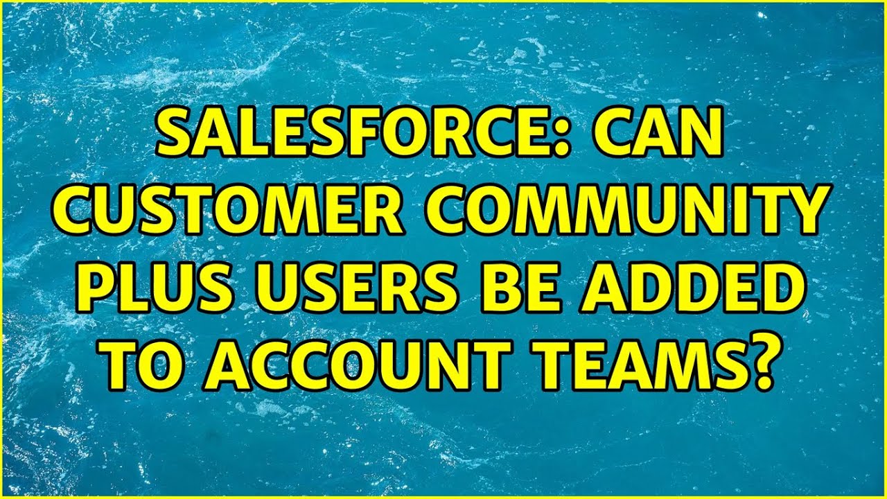 Salesforce: Can Customer Community Plus users be added to account teams ...
