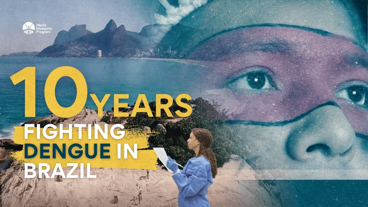How Mosquitoes Are Fighting Mosquitoes: A Decade of Impact in Brazil ...