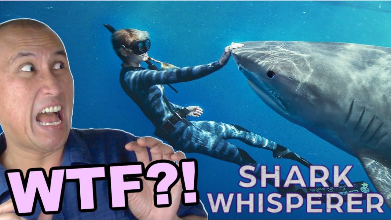 Shark Whisperer | Netflix Documentary Review (2025) - YouTube