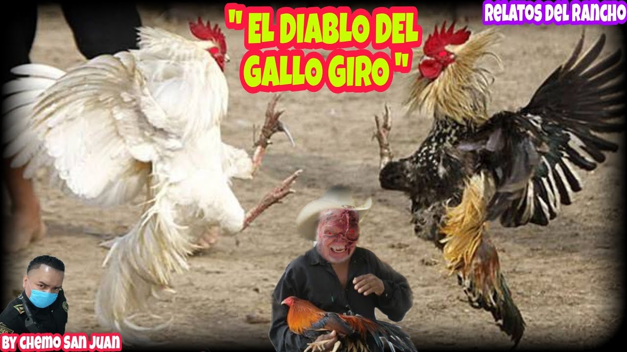 EL DIABLO DEL GALLO GIRO / impresionantes encuentros basados en eventos ...