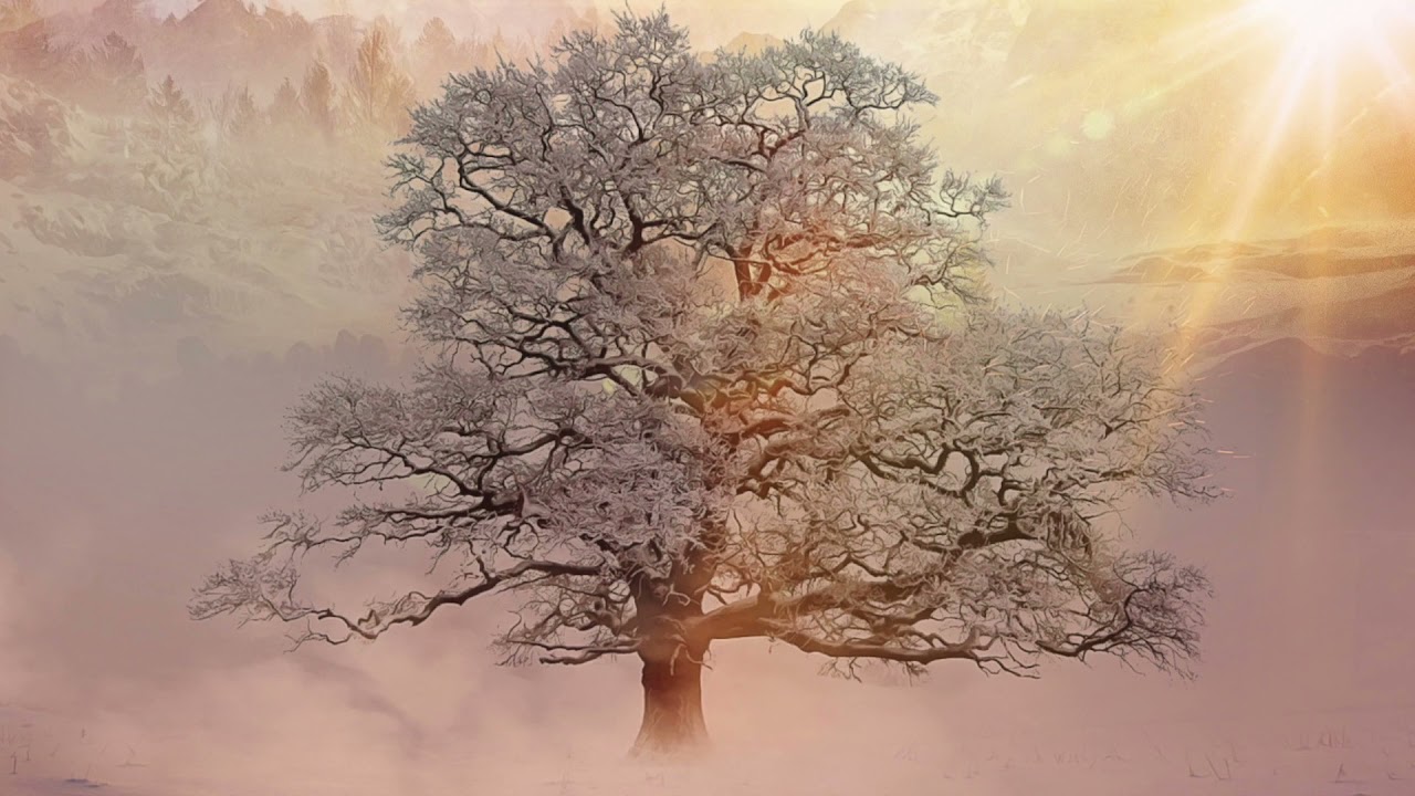 Starlight Album Preview by Really Slow Motion - YouTube