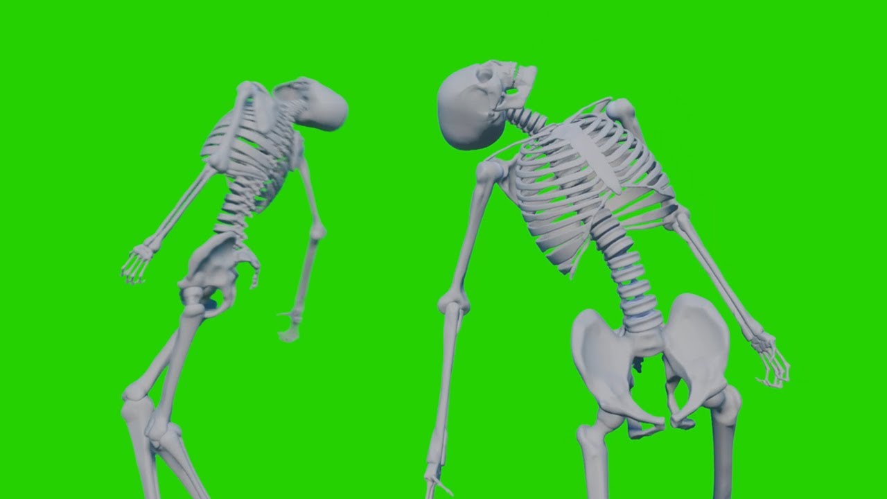 Skeleton Drunk after Halloween Party FREE Greenscreen Halloween spooky ...