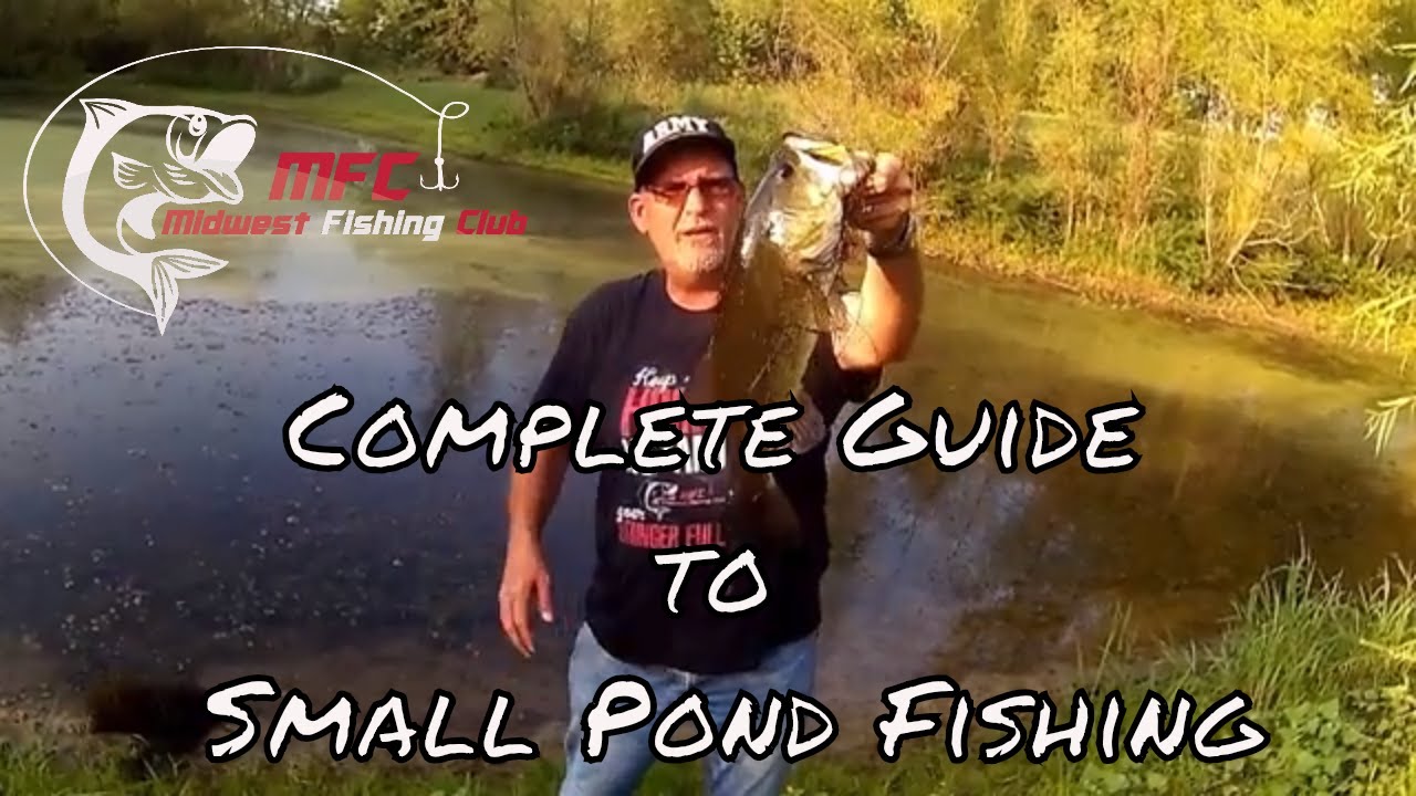 Complete Guide to Small Pond Fishing or How to Catch Big Bass in Ponds ...