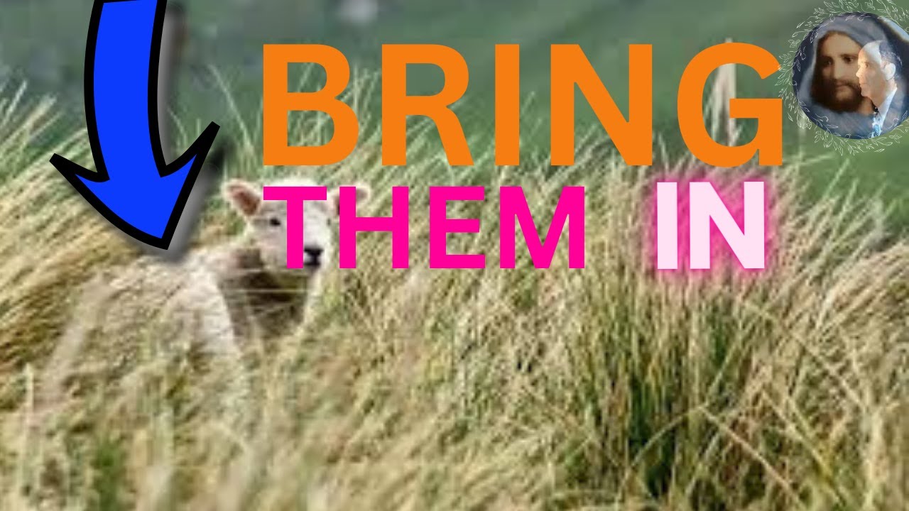 BRING THEM IN | Rev. William Branham @Branhamword77@WorshipYeHim - YouTube