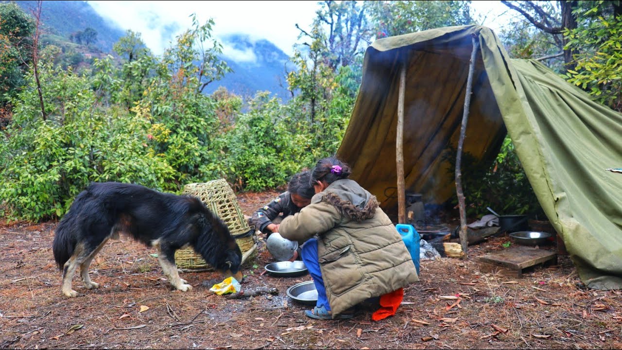Two sisters cooking potatoes and vegetables and eating rice in natural ...
