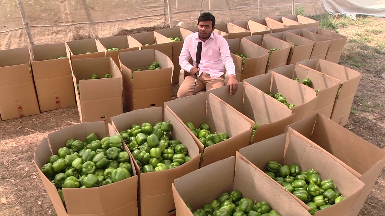 PRASAD SAVE from Palghar Dist. Maharashtra - YouTube