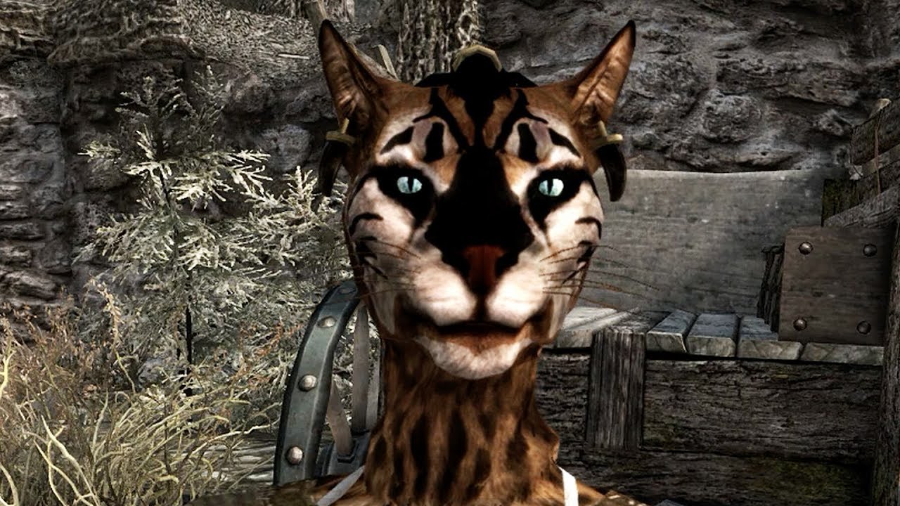 Beautiful female Khajiit – Part 28: Skyrim Xbox One - YouTube