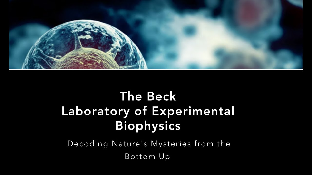 Roy Beck's lab for NanoBioPhysics @ Tel Aviv University - YouTube