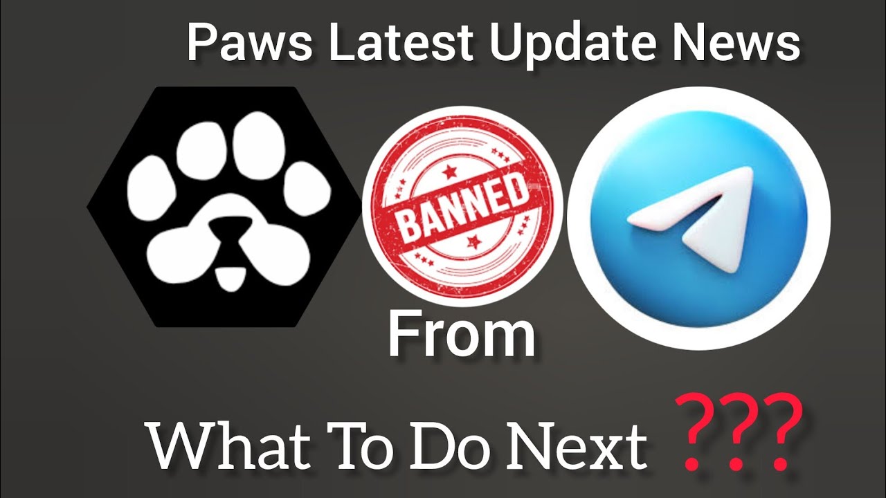 Paws Latest Update : What To Do Next : Paws Has Been Banned From ...