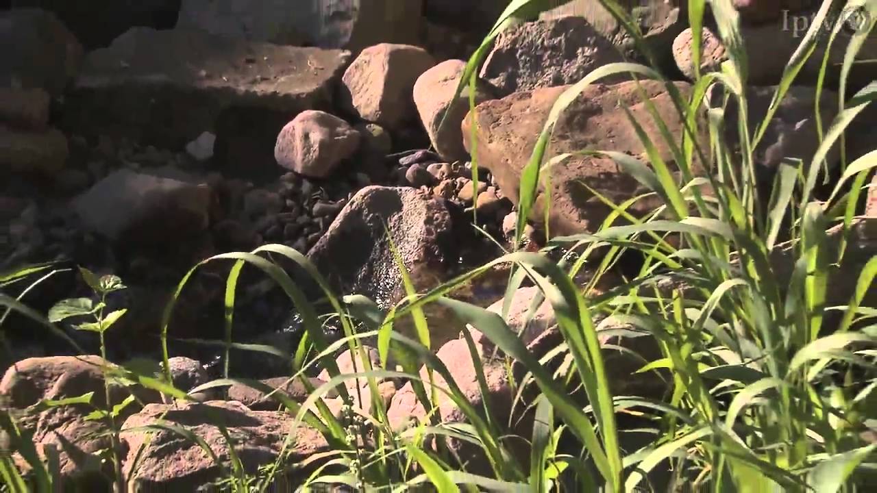 DNR Building Tour - Iowa State Fair 2010 - YouTube