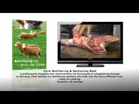 Butchering and Dressing Lamb