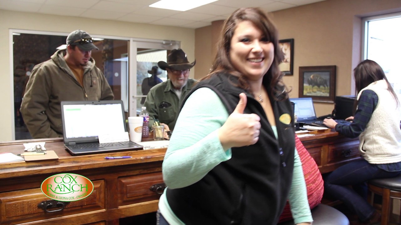 Bobby Cox Ranch - Angus Cattle - YouTube