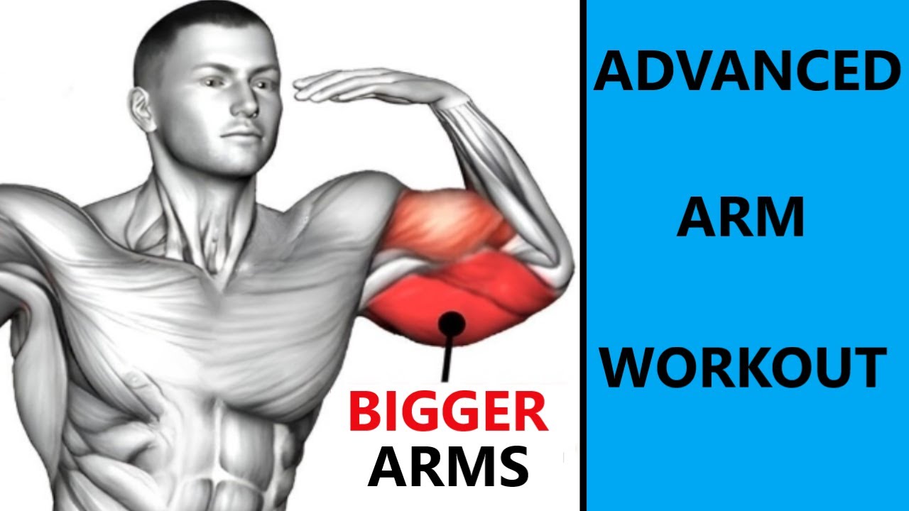 ADVANCED ARM WORKOUT MUSCLE BUILDING WORKOUT - YouTube
