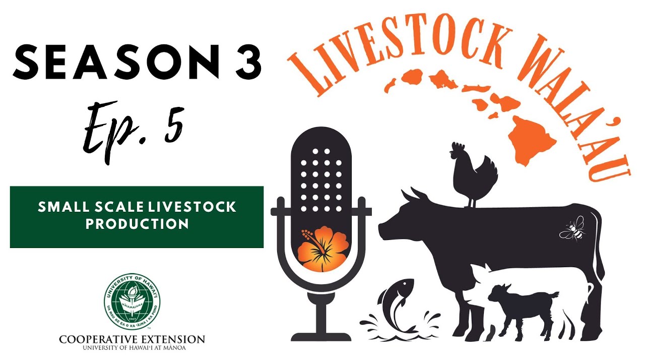 S3 Ep. 5: Small Scale Livestock Production (Livestock Walaʻau Podcast ...
