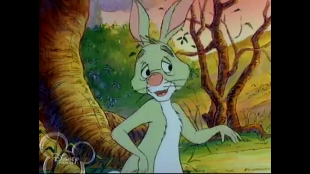 Rabbit Winnie The Pooh