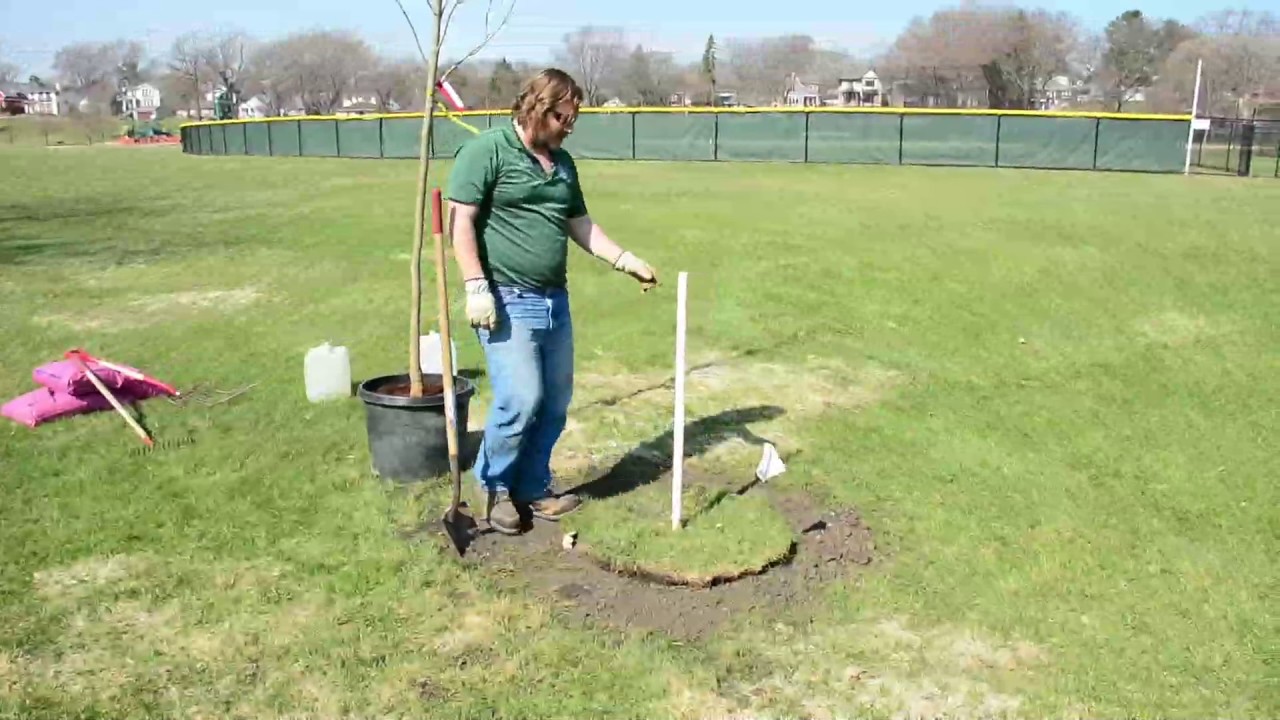 Arbor Day 2020 Tree Planting - YouTube