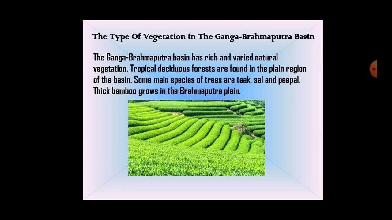 PPT on The Amazon Basin And The Ganga Brahmaputra Basin by Hardik Gupta ...