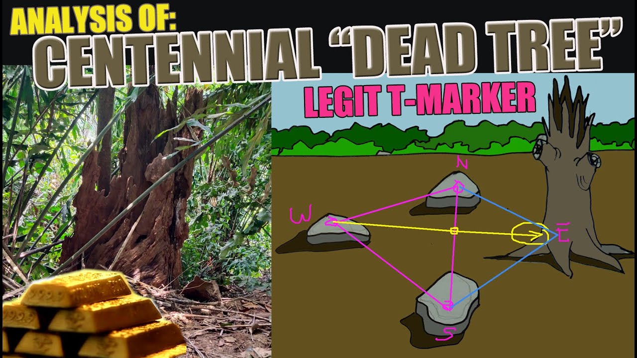 TREASURE UNDER THE DEAD OLD TREE (CENTENNIAL TREE) - YouTube