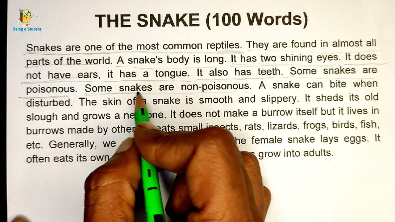 Essay on Snake in English || Sanp par English essay - YouTube