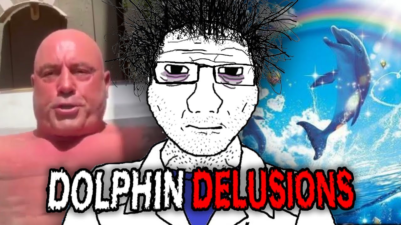 The Insane Genius That Gave Dolphins LSD - YouTube
