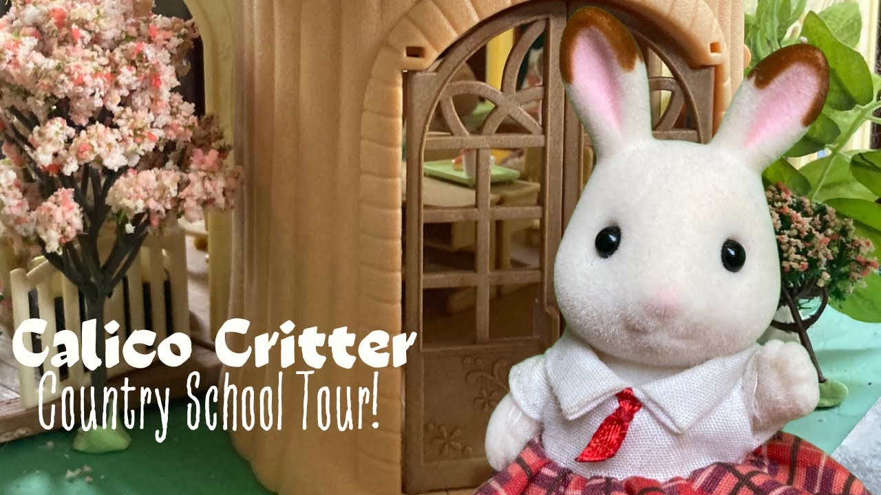 My Calico Critter Country School Tour! - YouTube