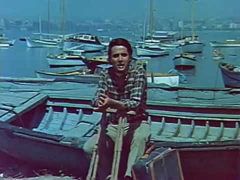 Berduşum  - Erol Büyükburç