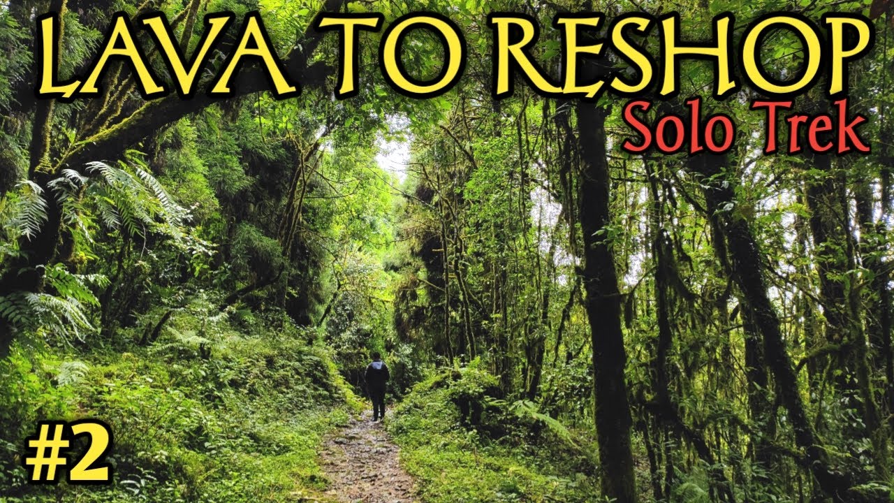 Lava Lolegaon Rishop Kalimpong Tour | Lava To Rishop Trek | Kalimpong ...