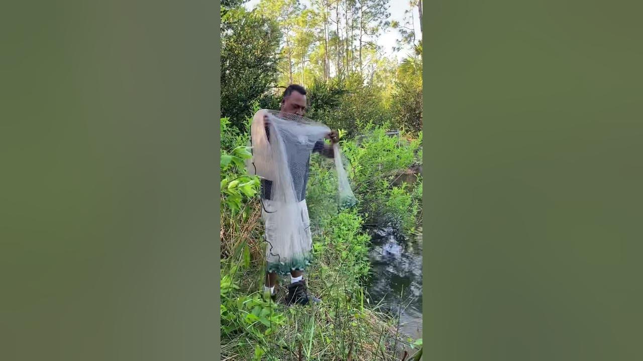 Catching Hassa In Florida Youtube