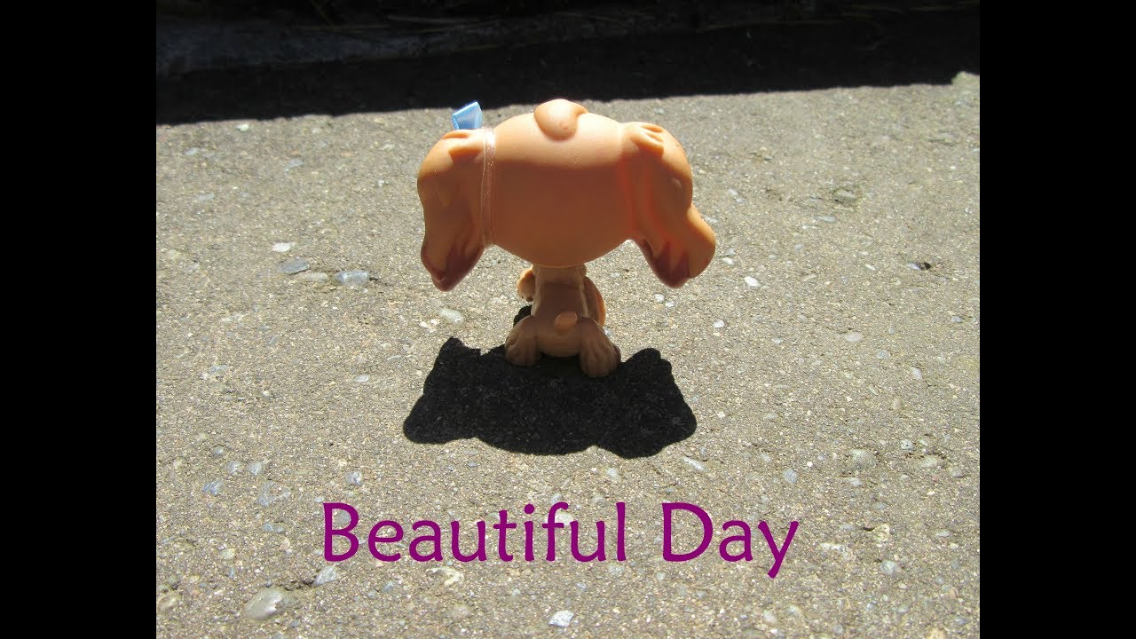LPS: Beautiful Day || Music Video - YouTube