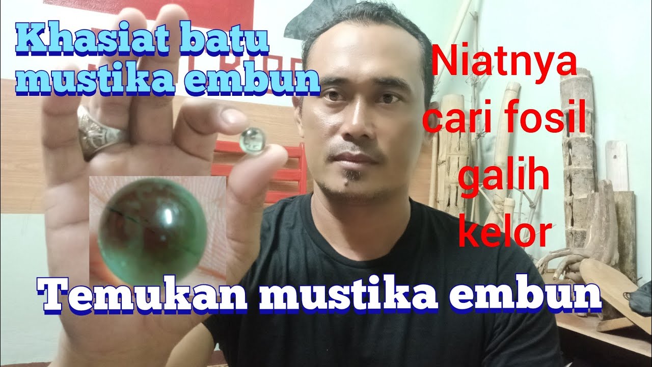 Cari Batu Akik Fosil Galih Kelor Temukan Mustika Embun Yang Sangat ...