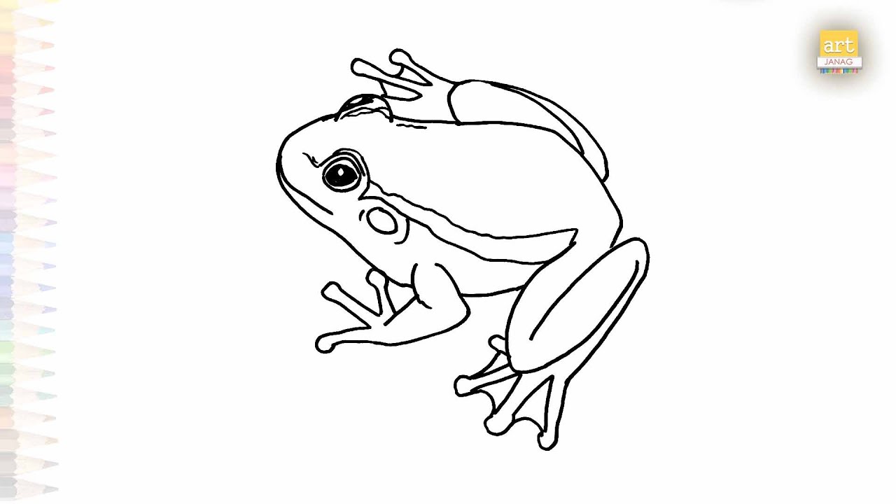 Bullfrog drawing easy | Art tutorial | How to draw Bullfrog step by ...