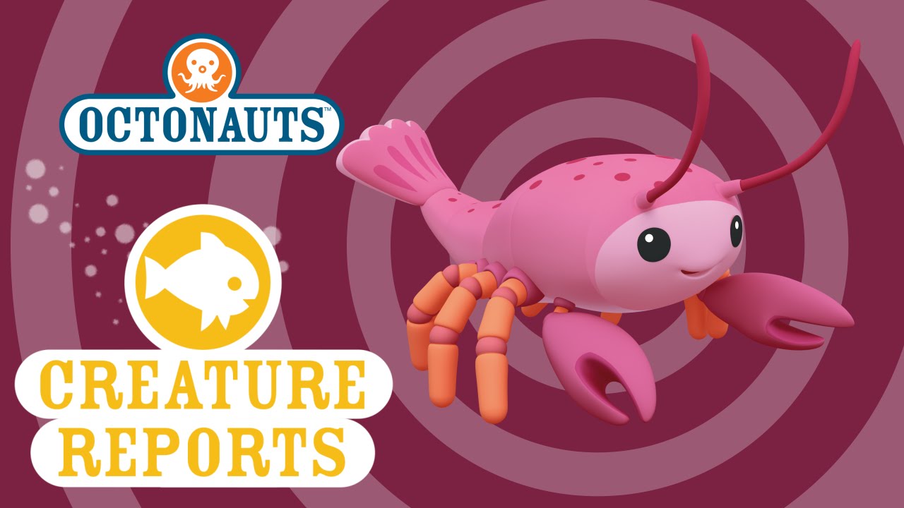 Octonauts: Creature Report - Reef Lobster - YouTube