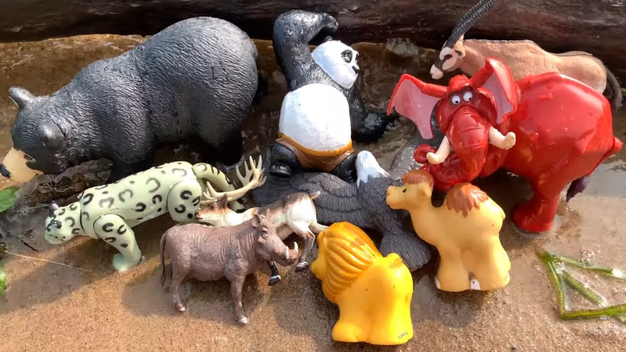 Learn Zoo Animal Names And Fun Facts For Kids with Toys at the ...