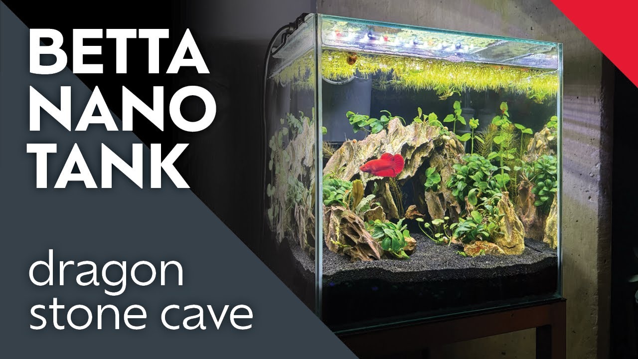 Betta Fish Tank Build with Cave - YouTube