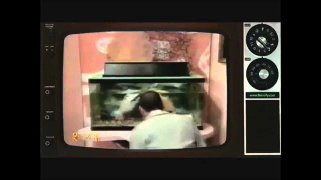 CBS Saturday Morning Bumpers 1979-1997 - YouTube