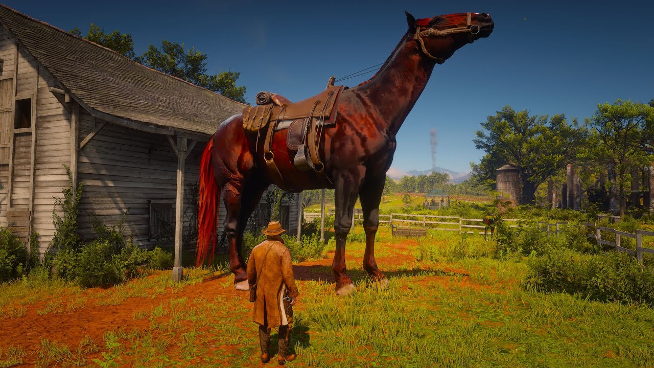 Hungarian Half-bred Liver Chestnut Horse Tamed By John Marston at ...