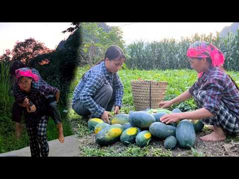 After harvesting melons together, my younger sister went to sell them and fell into the stream.