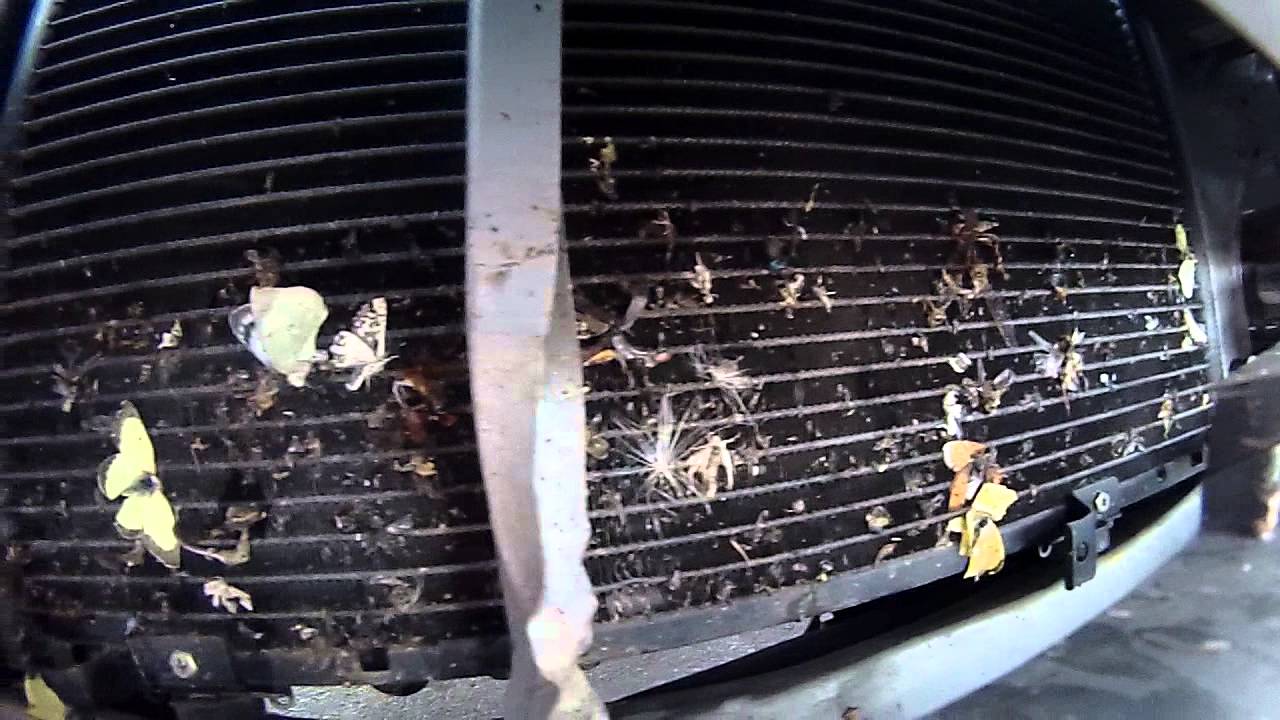 4000 miles of grill bugs. - YouTube