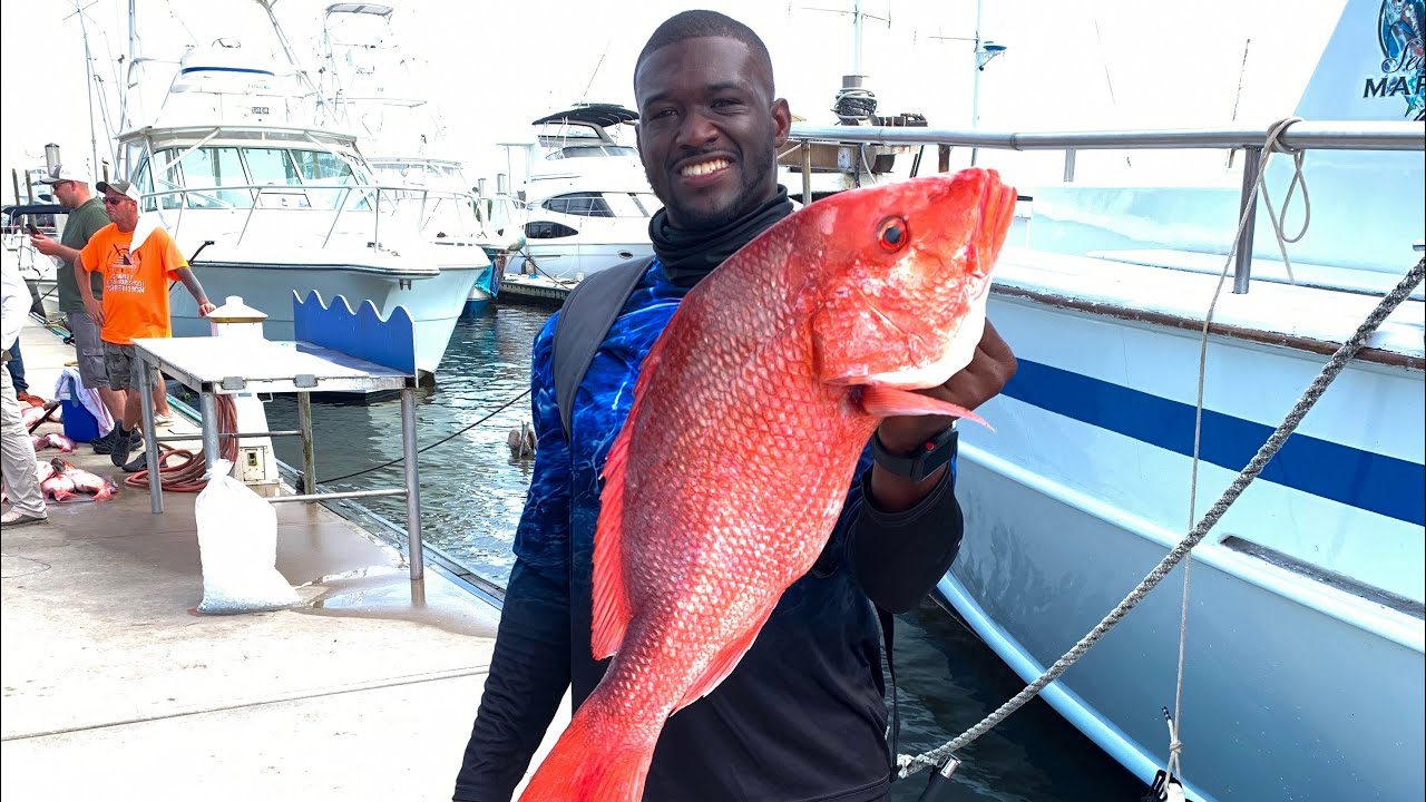 { First Time Deep Sea Fishing On a Charter Boat Catching Massive Red ...