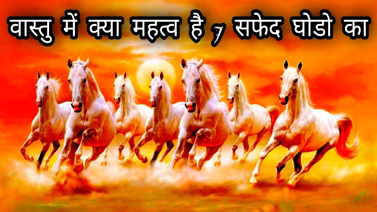 7 Ghode Ki Tasveer | 7 Ghode ke Tasveer Kyu Lagate Hai | 7 ghode ki ...