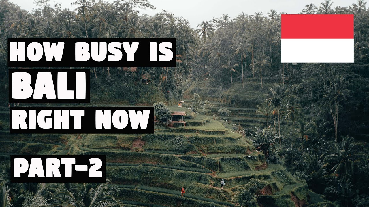How Busy is BALI Right now? #BALI, UBUD 2022 | part 2 | BALI Travel ...